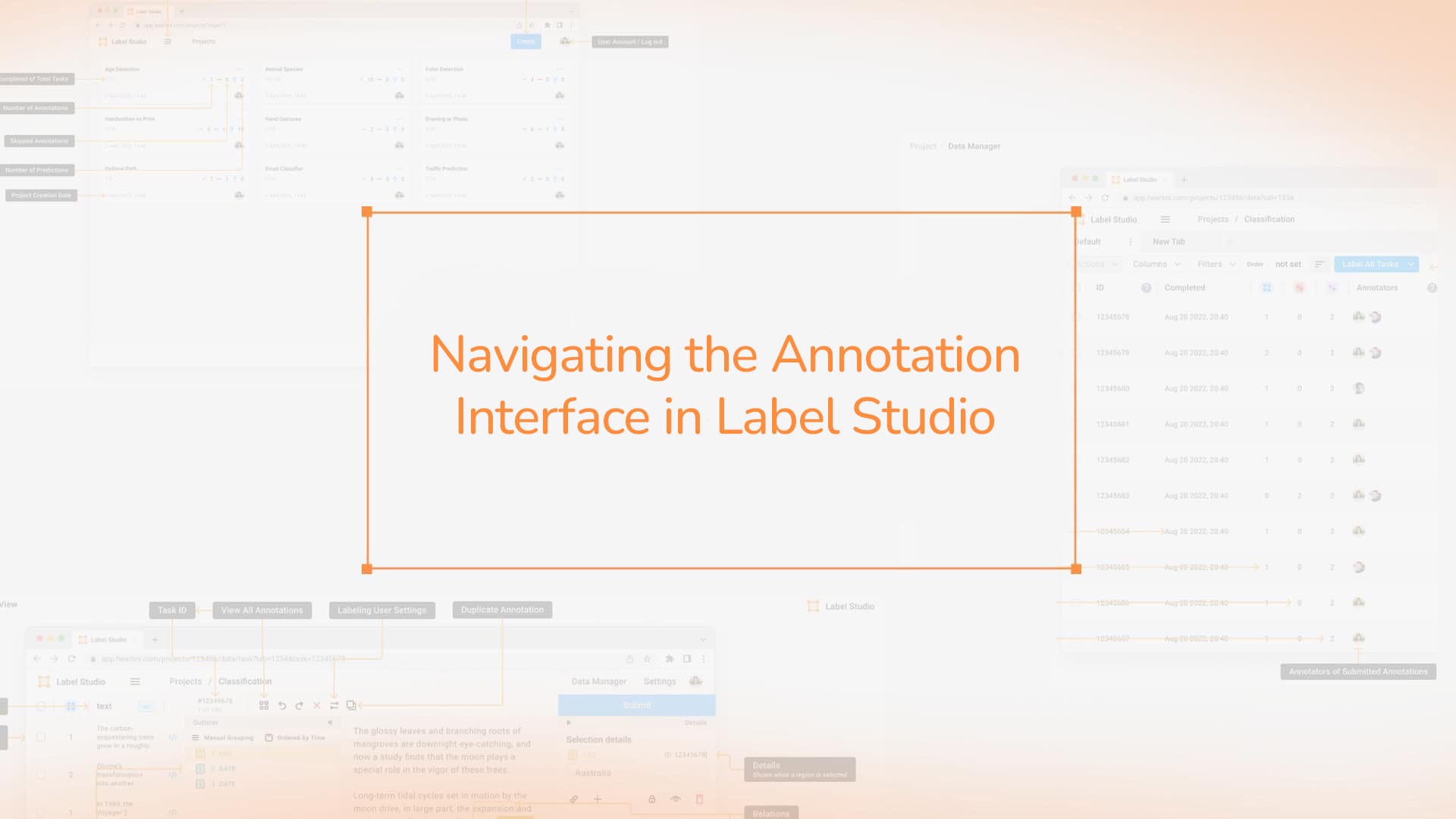Navigating the Annotation Interface in Label Studio