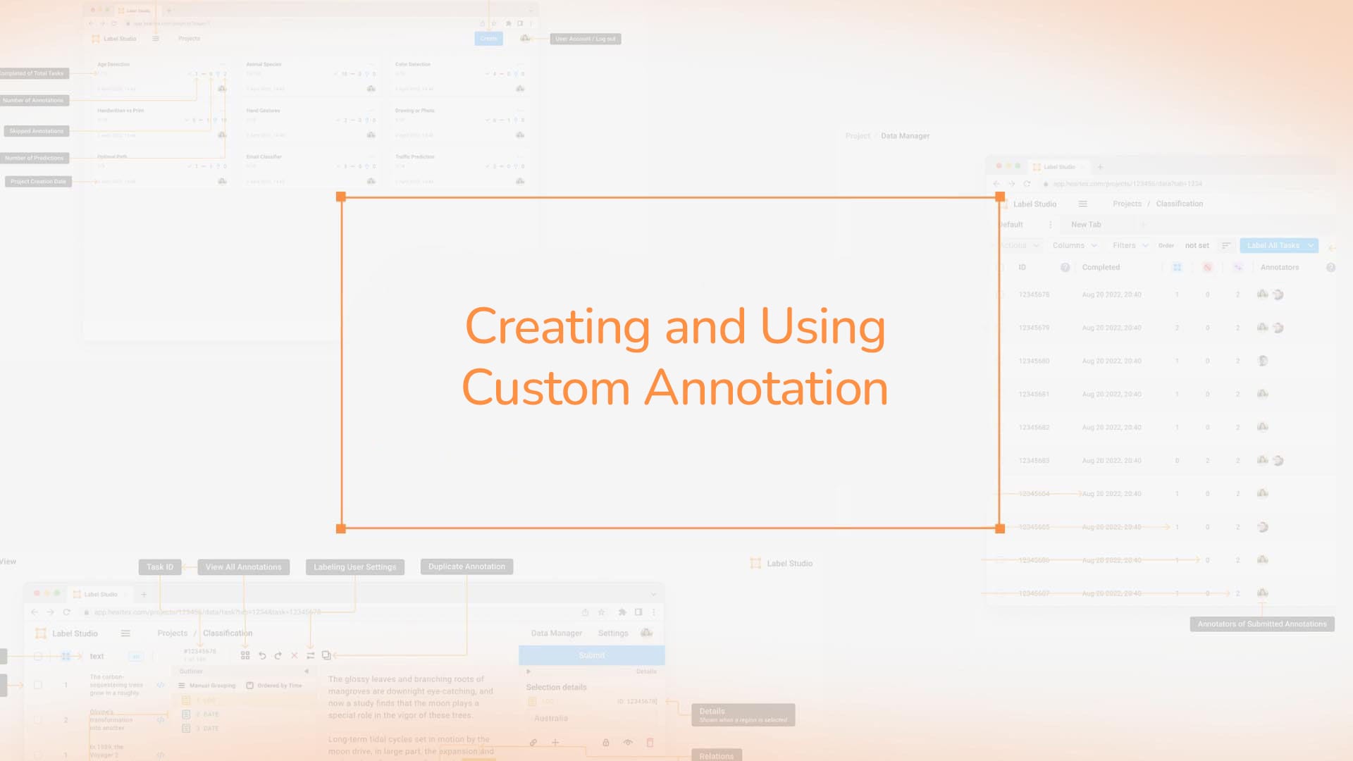 Creating & Using Custom Annotation Templates in Label Studio
