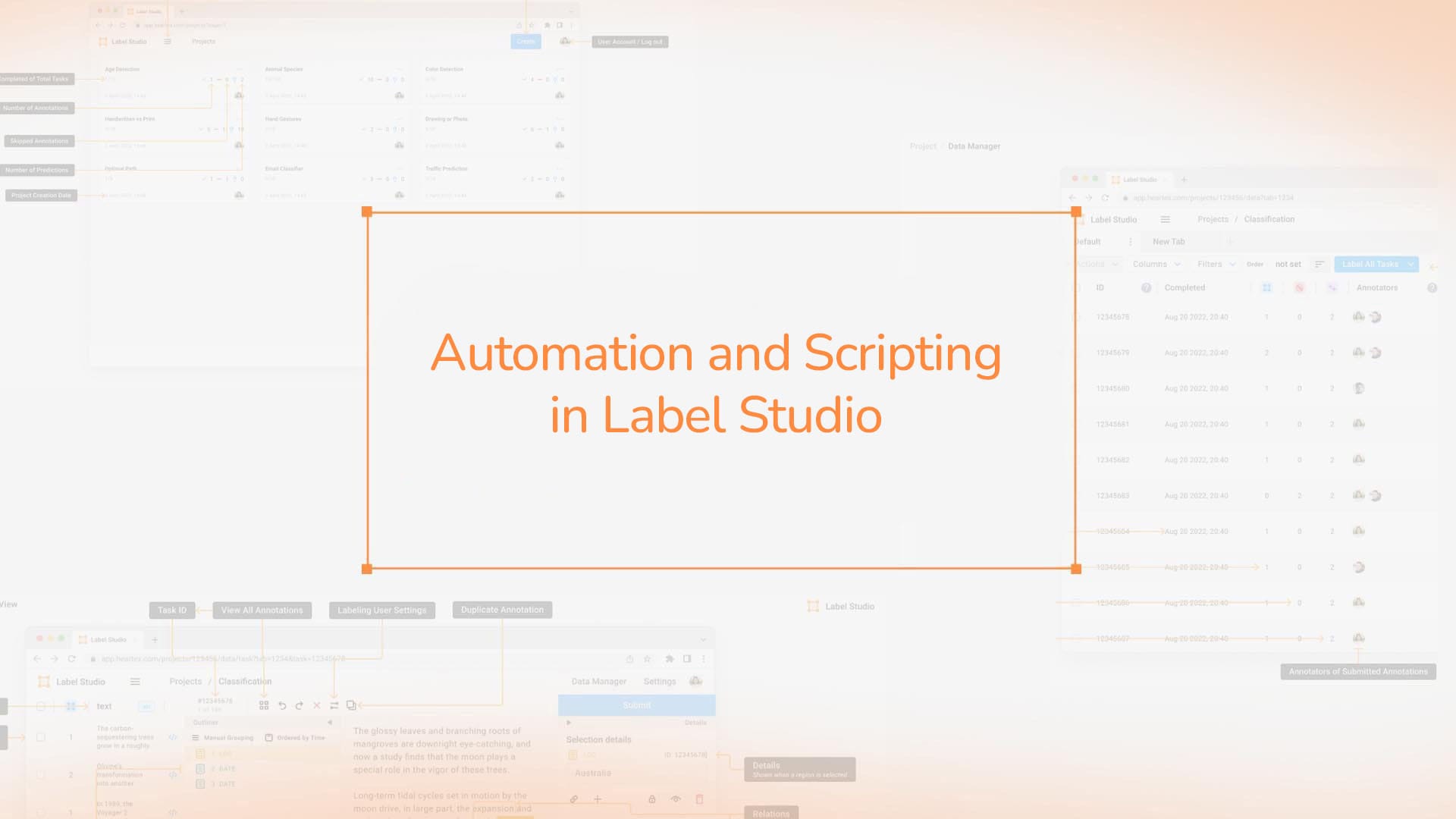 Automation and Scripting in Label Studio