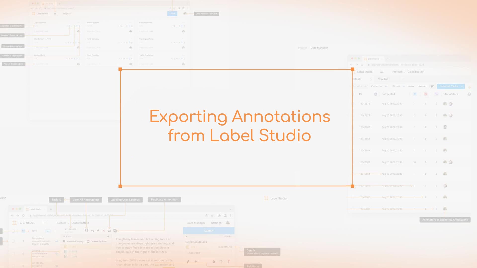 Exporting Annotations from Label Studio