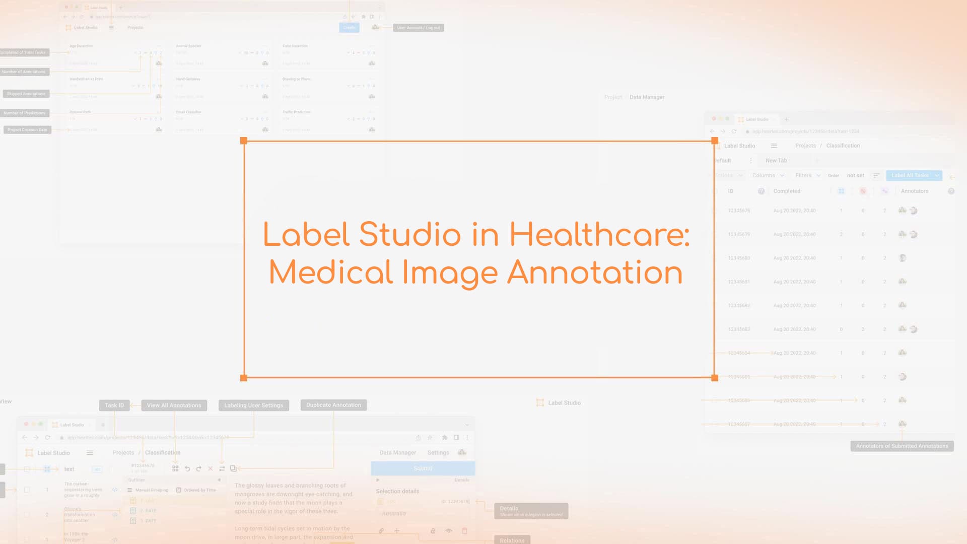 Label Studio in Healthcare: Medical Image Annotation