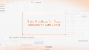 Best Practices for Data Annotation with Label Studio