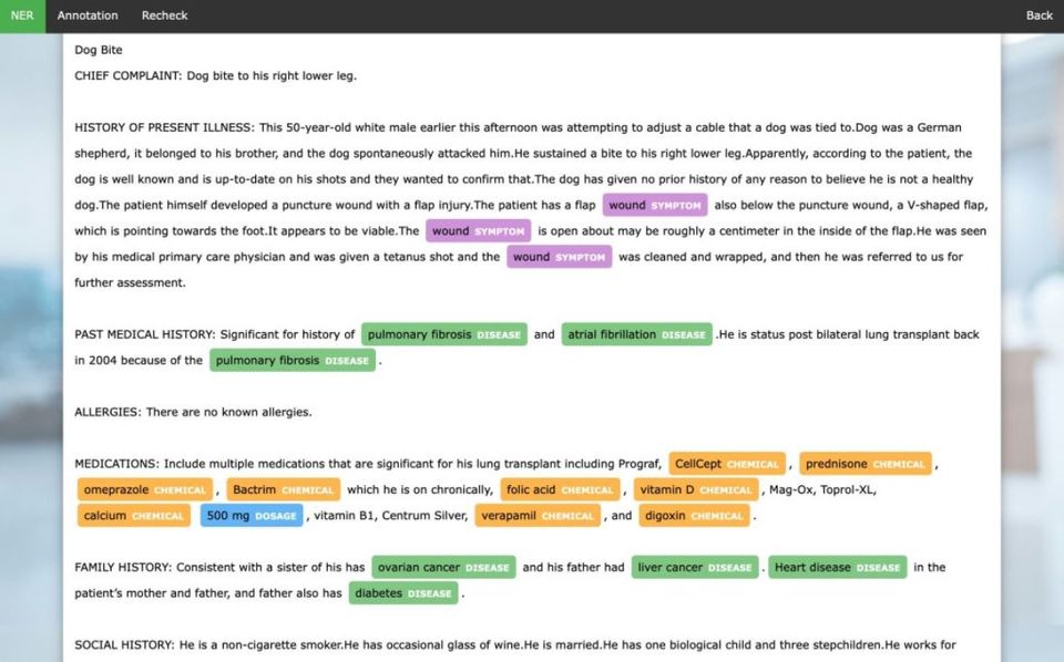 Document Annotation is a Game-Changer in Text Processing