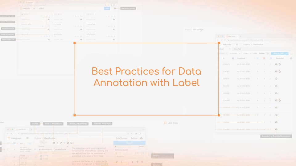 Best Practices for Data Annotation with Label Studio