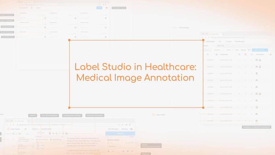Label Studio in Healthcare: Medical Image Annotation